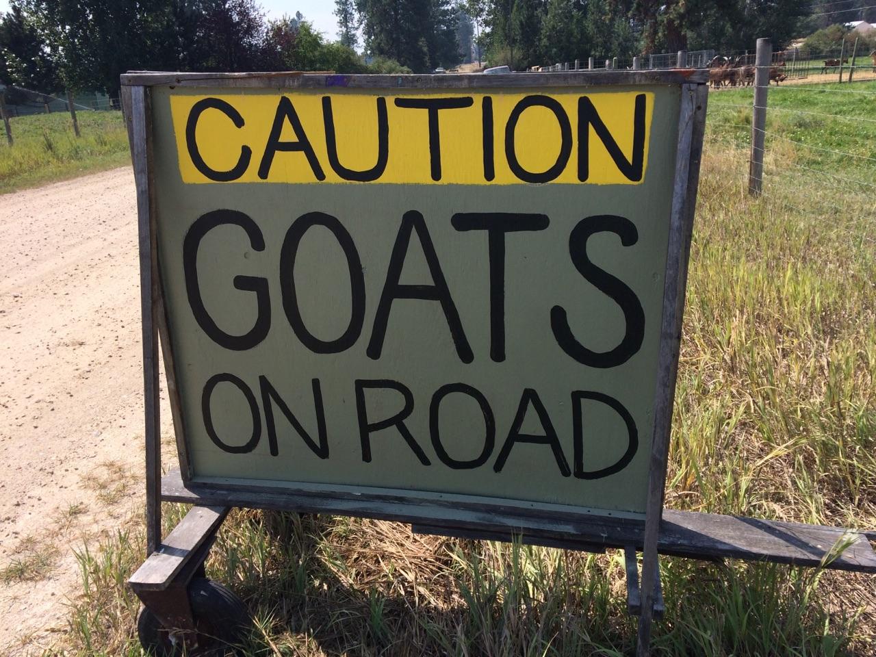 Funny Goat Signs