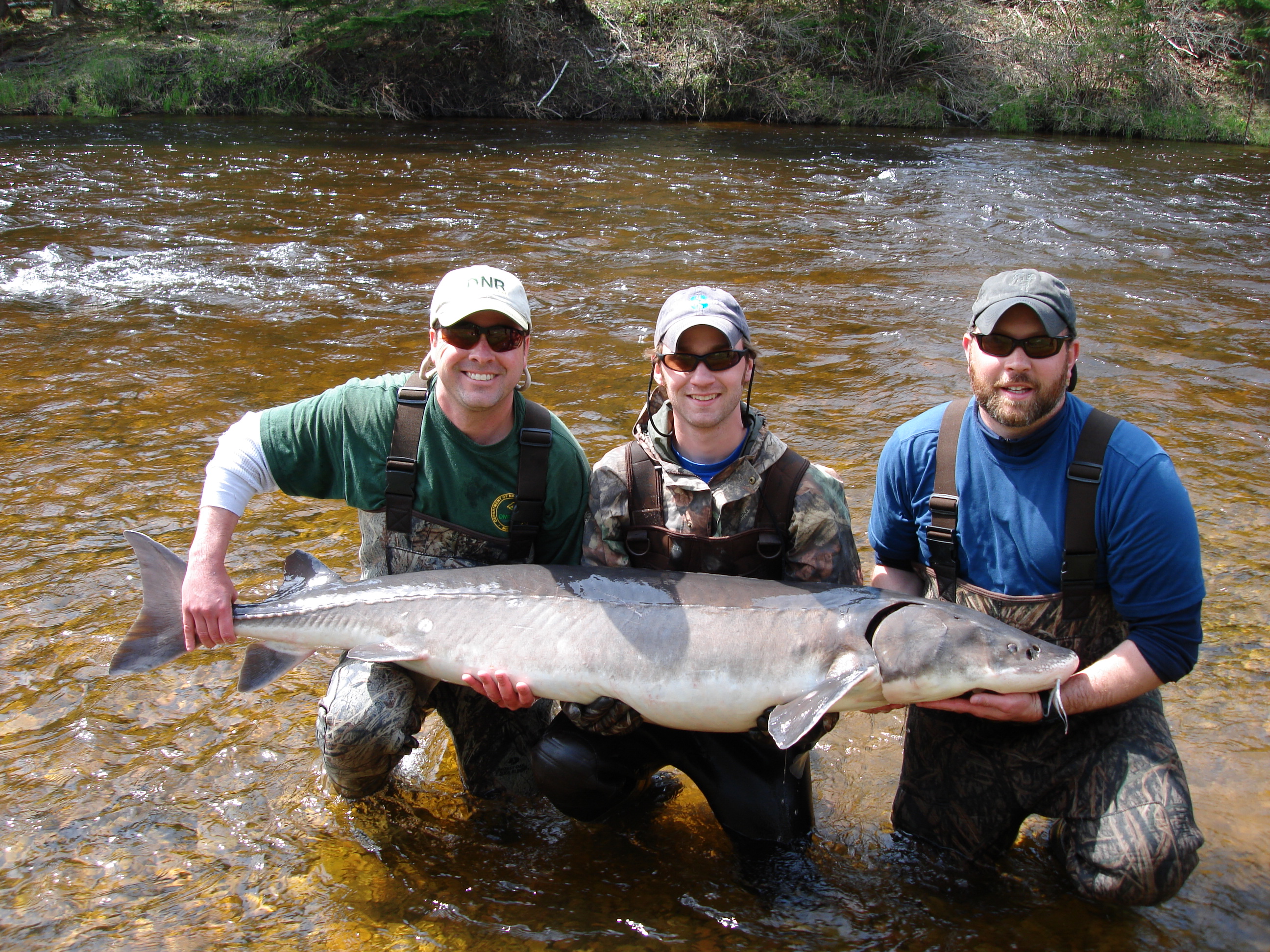 Lake Michigan Sturgeon Fishing
