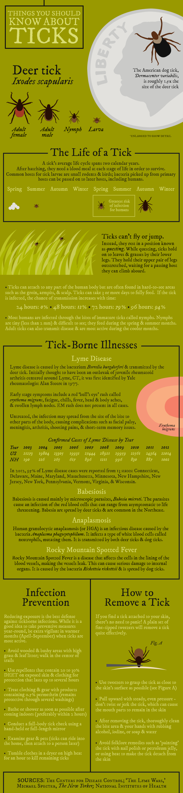 Worst Tick Infestations Ever 10 Facts About Ticks