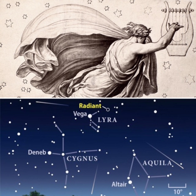 Orpheus Lyre Constellation