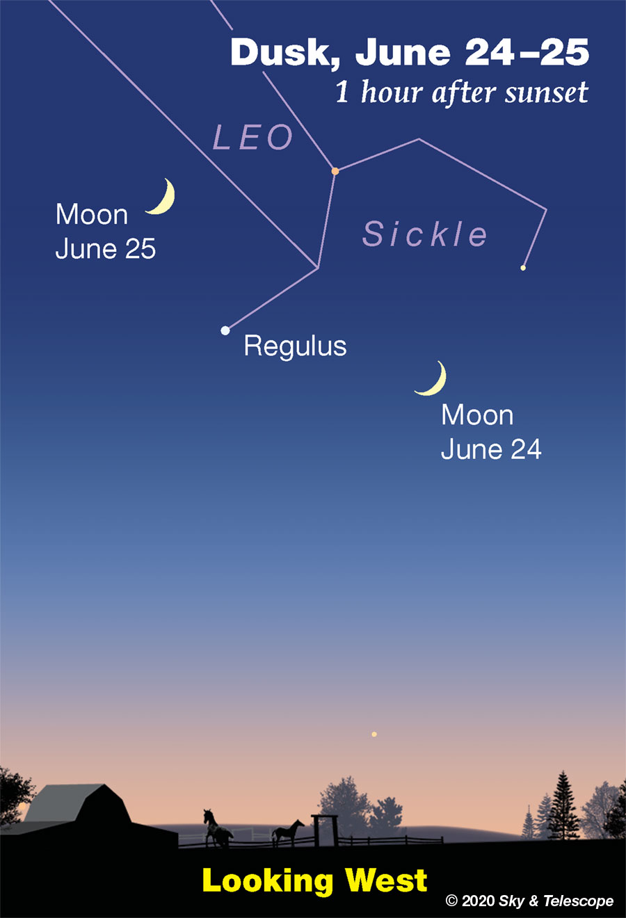 Regulus Constellation