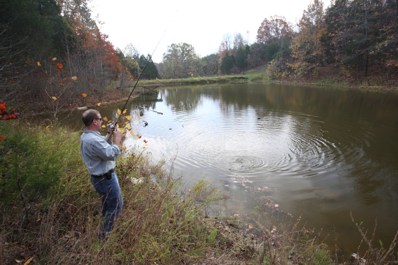 Fishing At A Pond