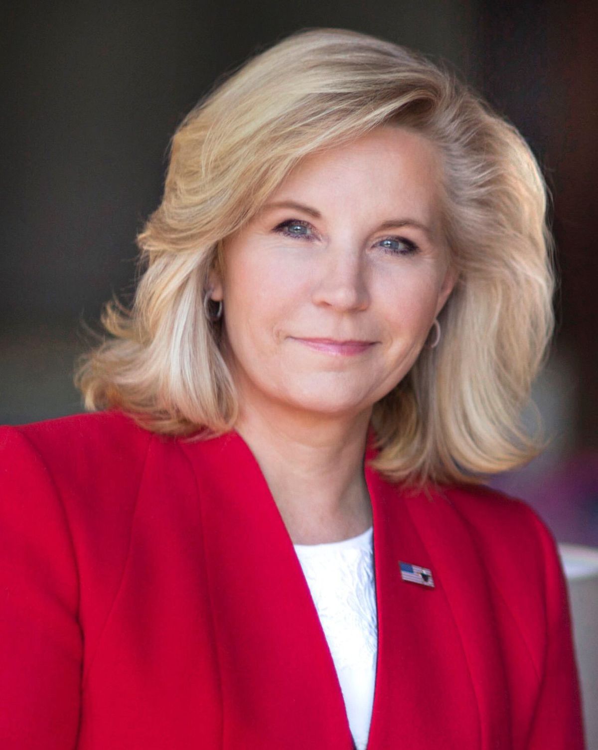 Liz Cheney > General Discussion > AR15.COM
