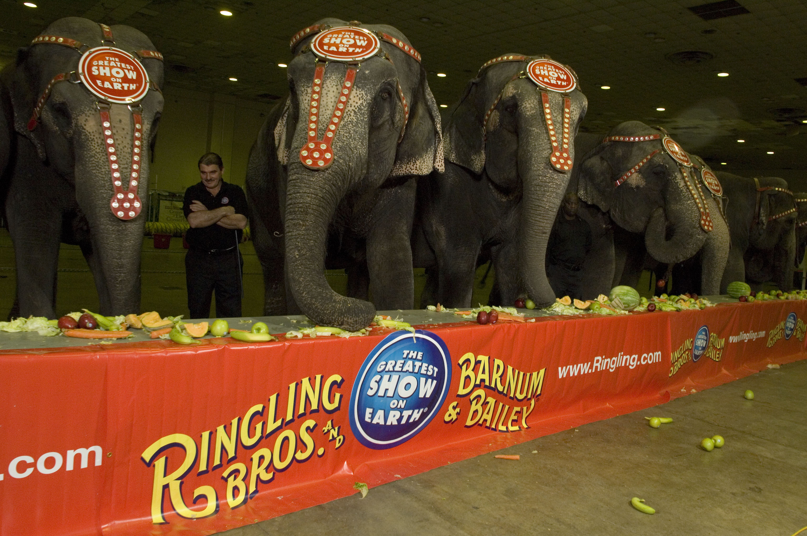 Ringling Barnum And Bailey Circus Ringling Bros Barnum & Bailey Circus