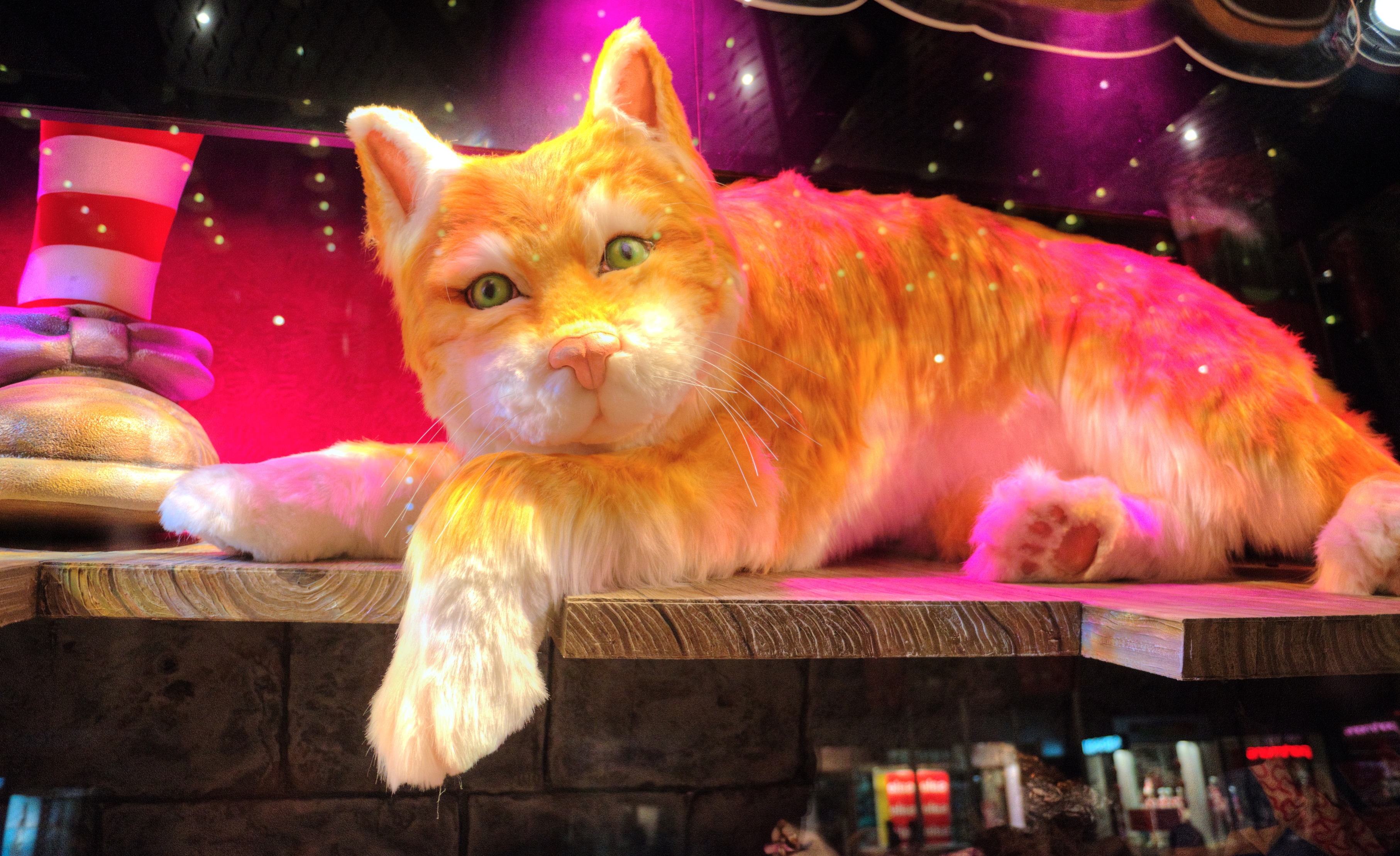Cat Animatronics