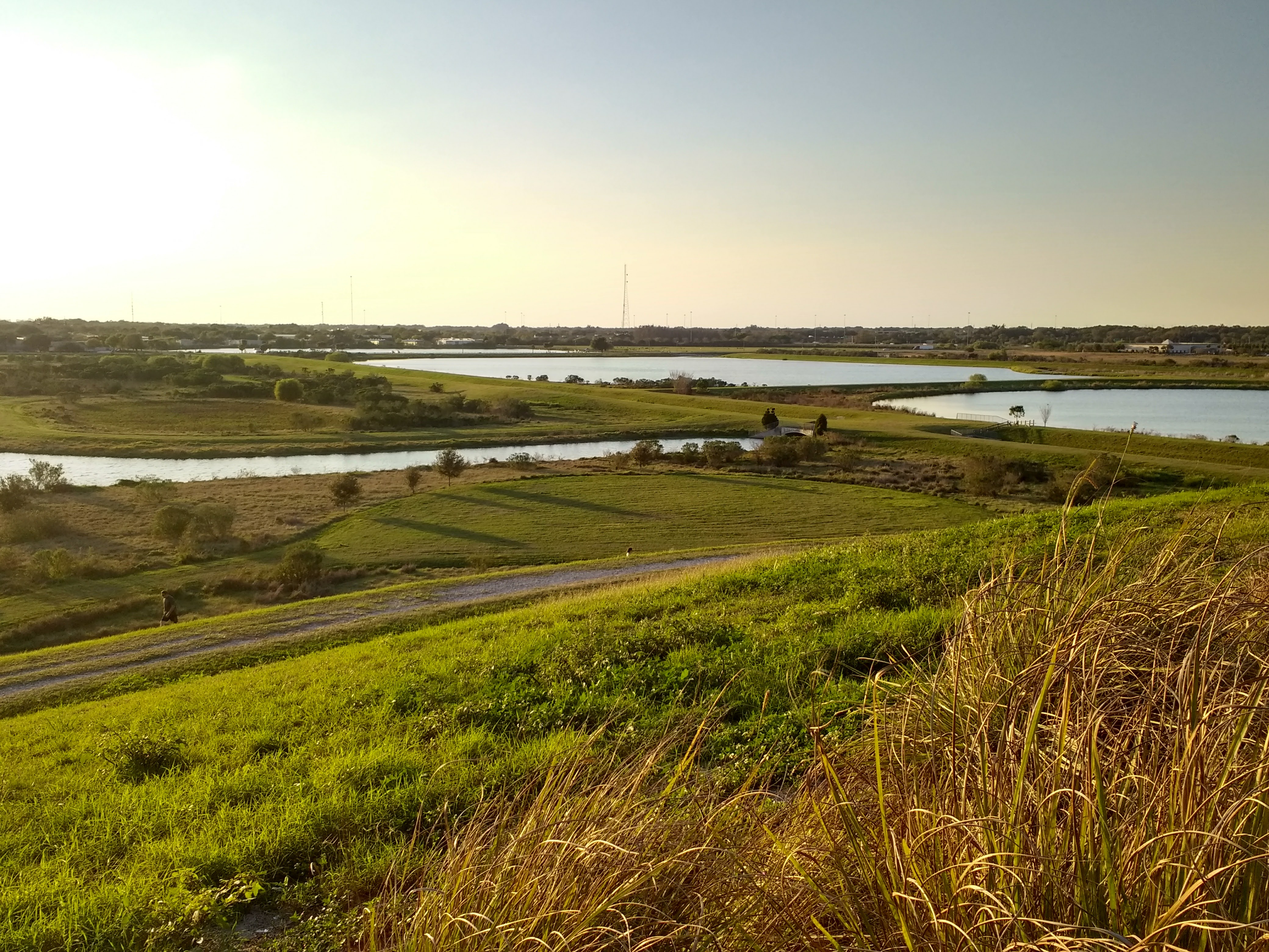 Celery Fields Sarasota Fl