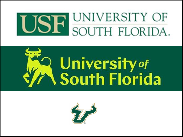 Usf Old Logo USF Bulls Wordmark Logo (2003 2009)
