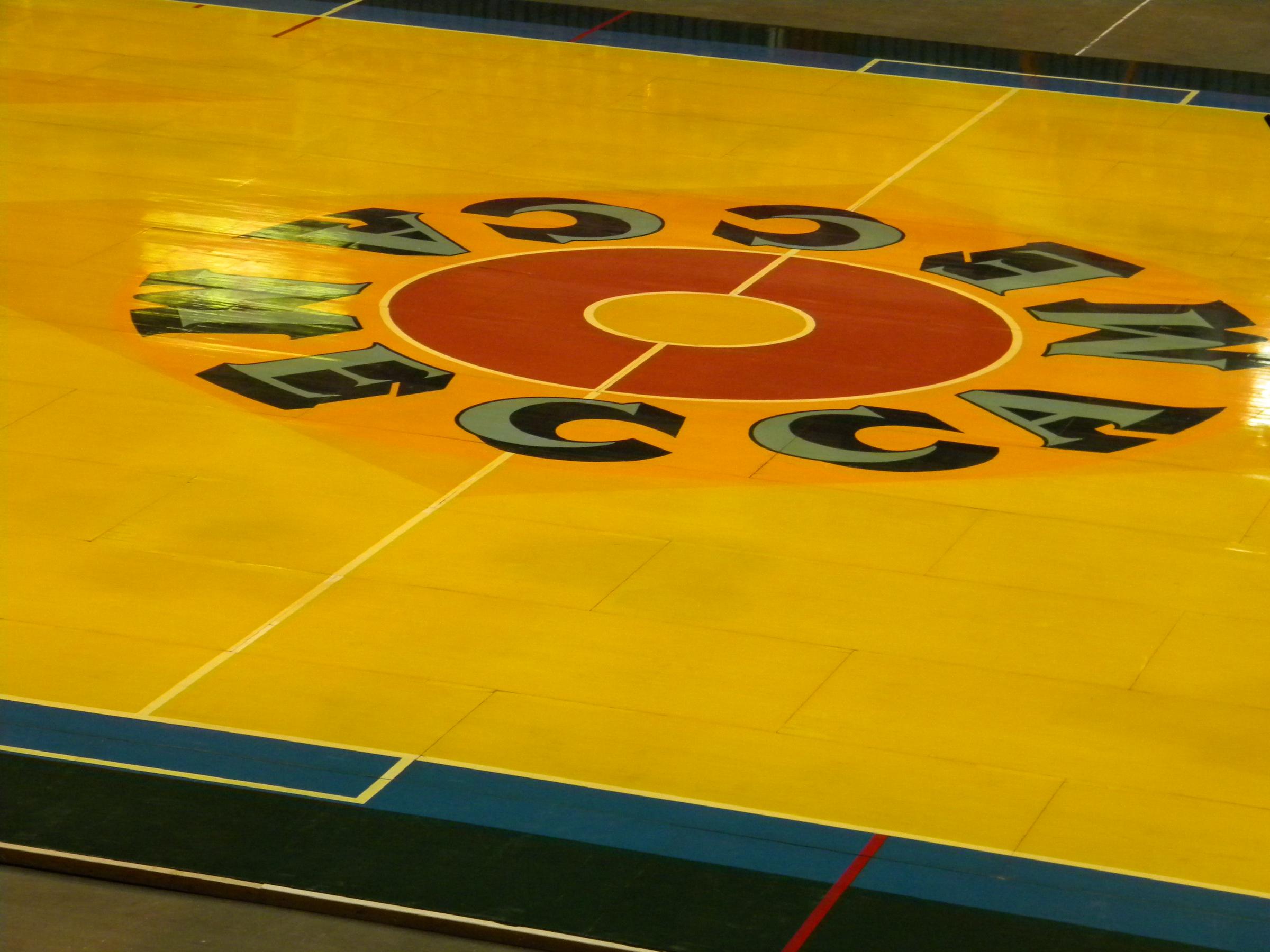 Milwaukee Bucks Court Floor