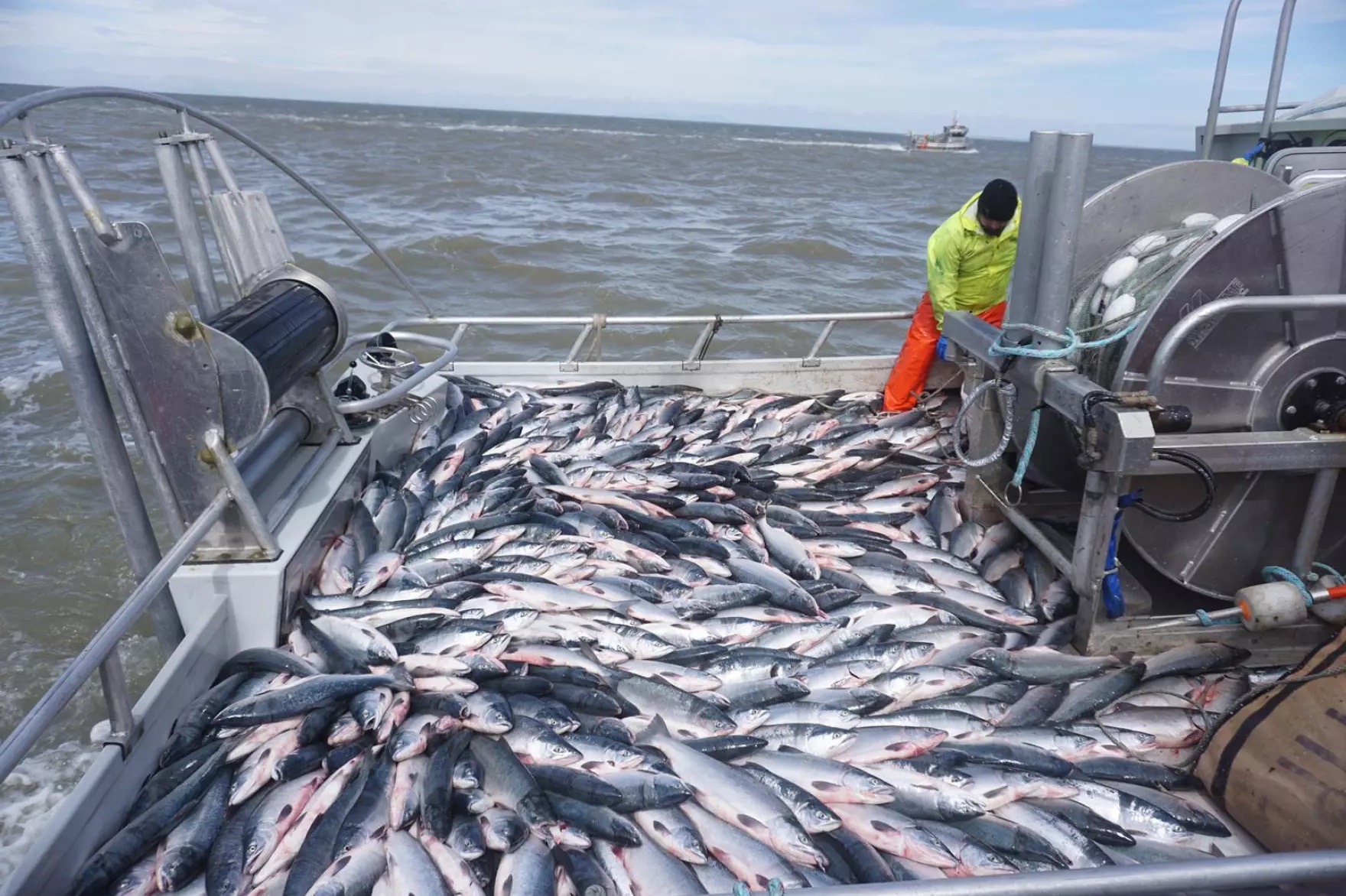 Bristol Bay Sockeye Fishing